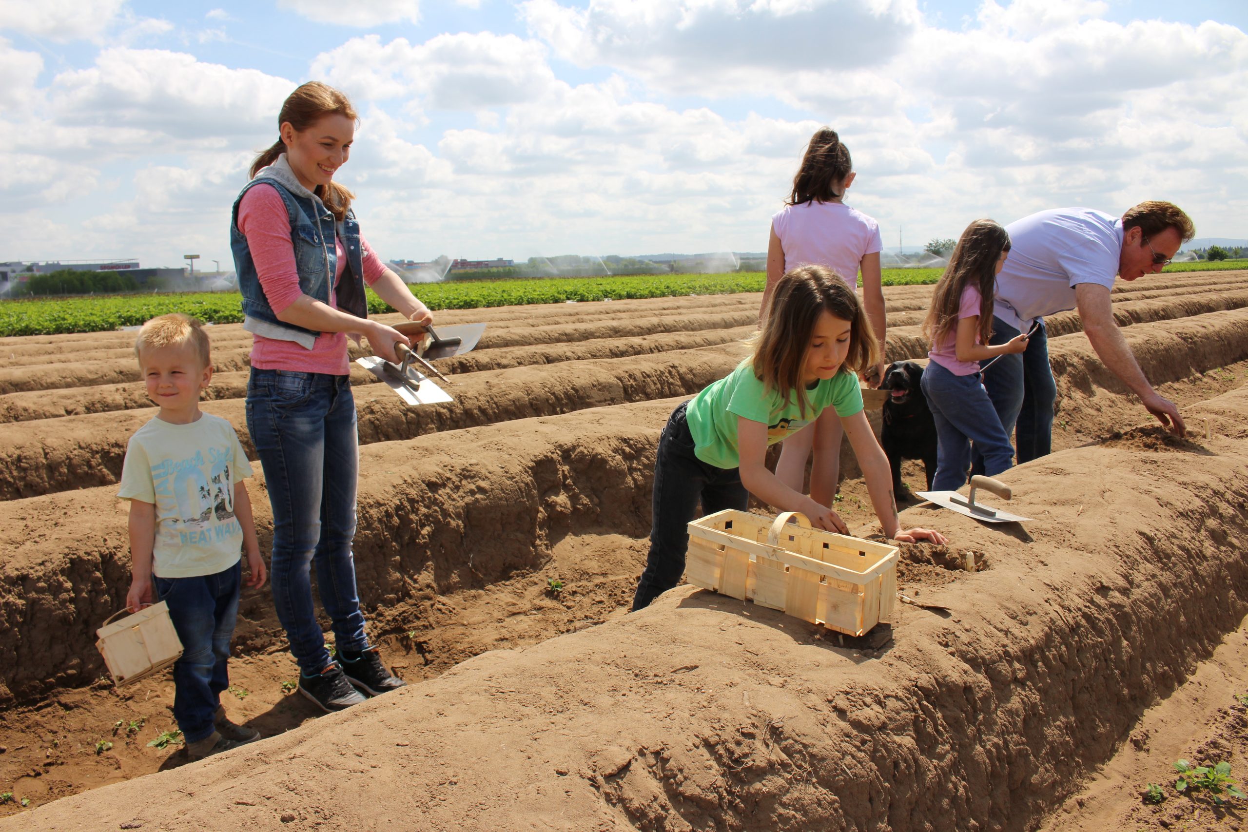 Bauer Lipp | Kindaling.de