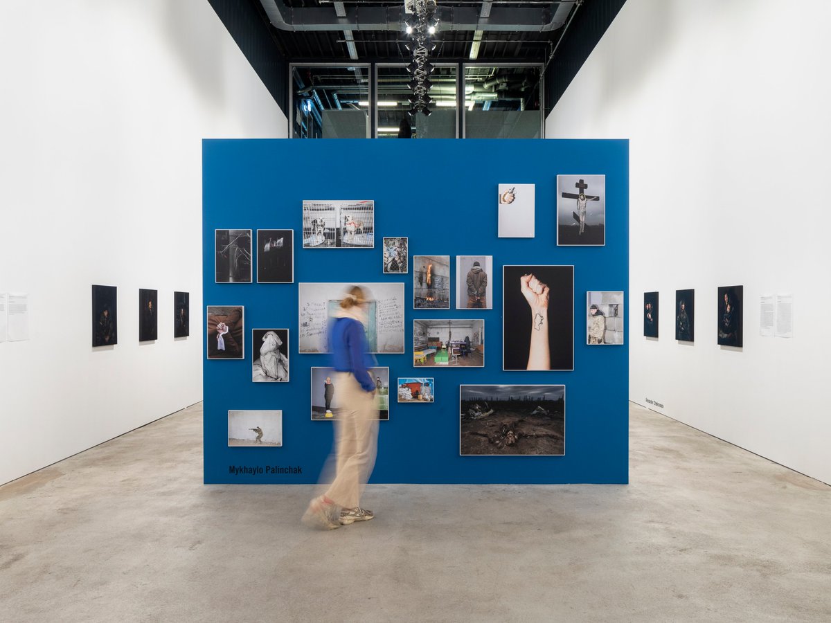 See for Free | Kindaling.de