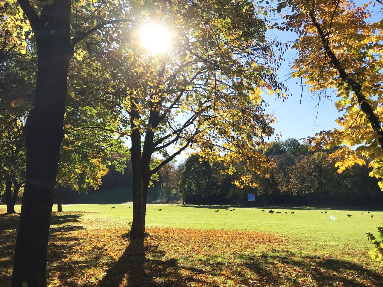 Park Westpark in München