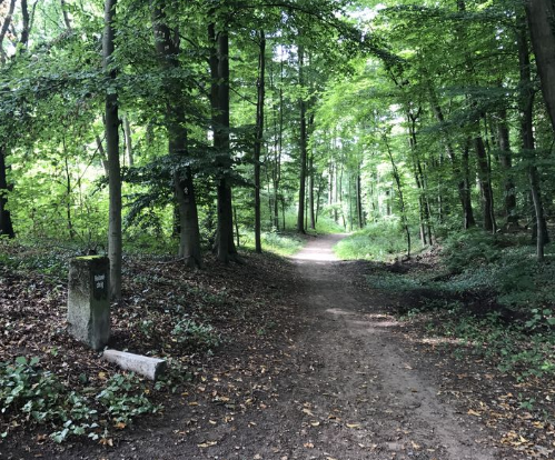 Waldspielplatz Aaper Wald in Düsseldorf