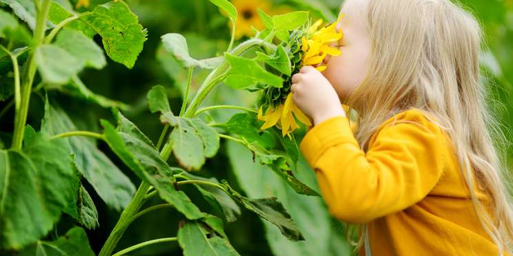 Den Garten kindgerecht gestalten: So geht‘s am besten | Kindaling.de
